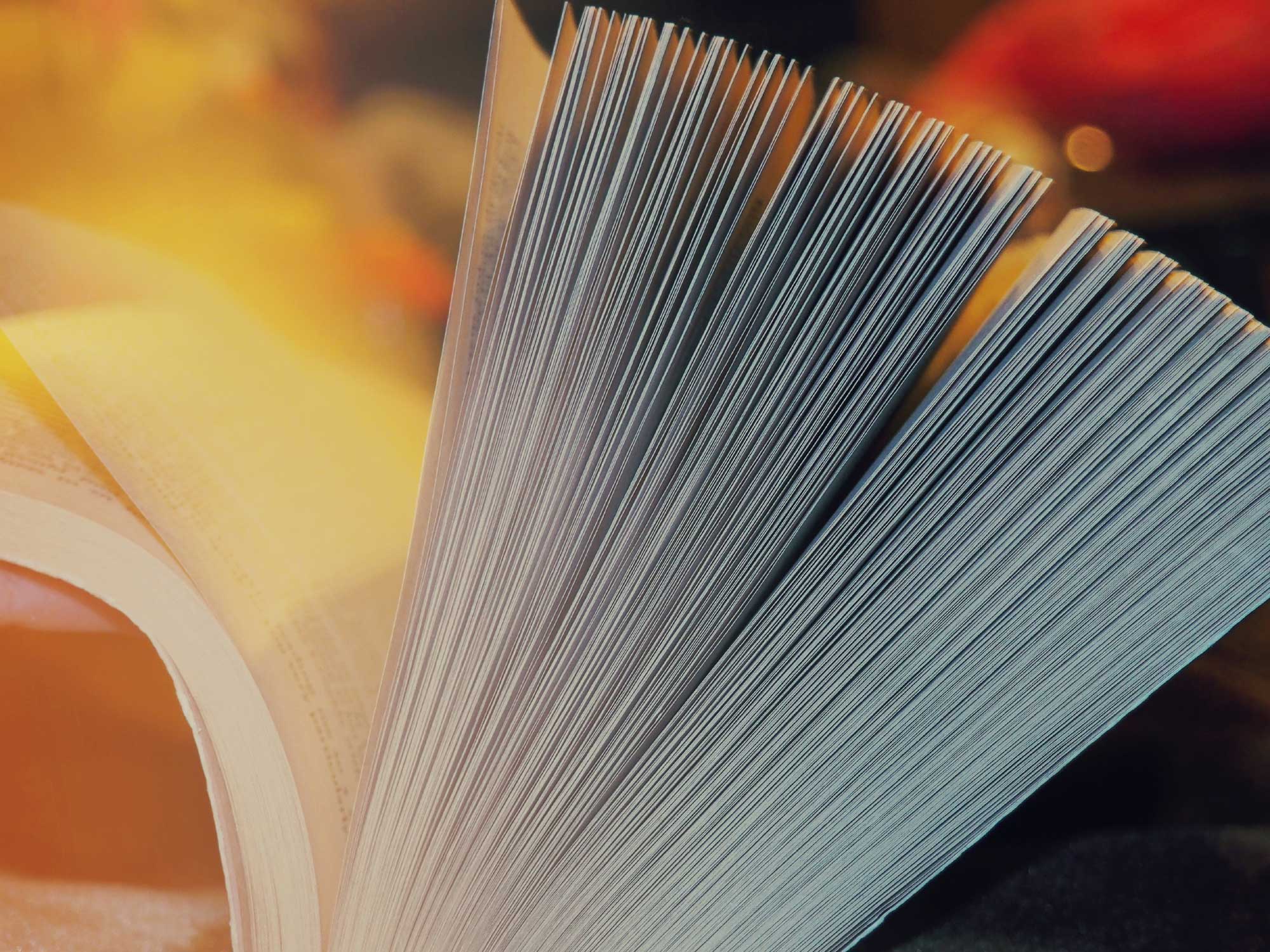 Journal International Network On Personal Meaning